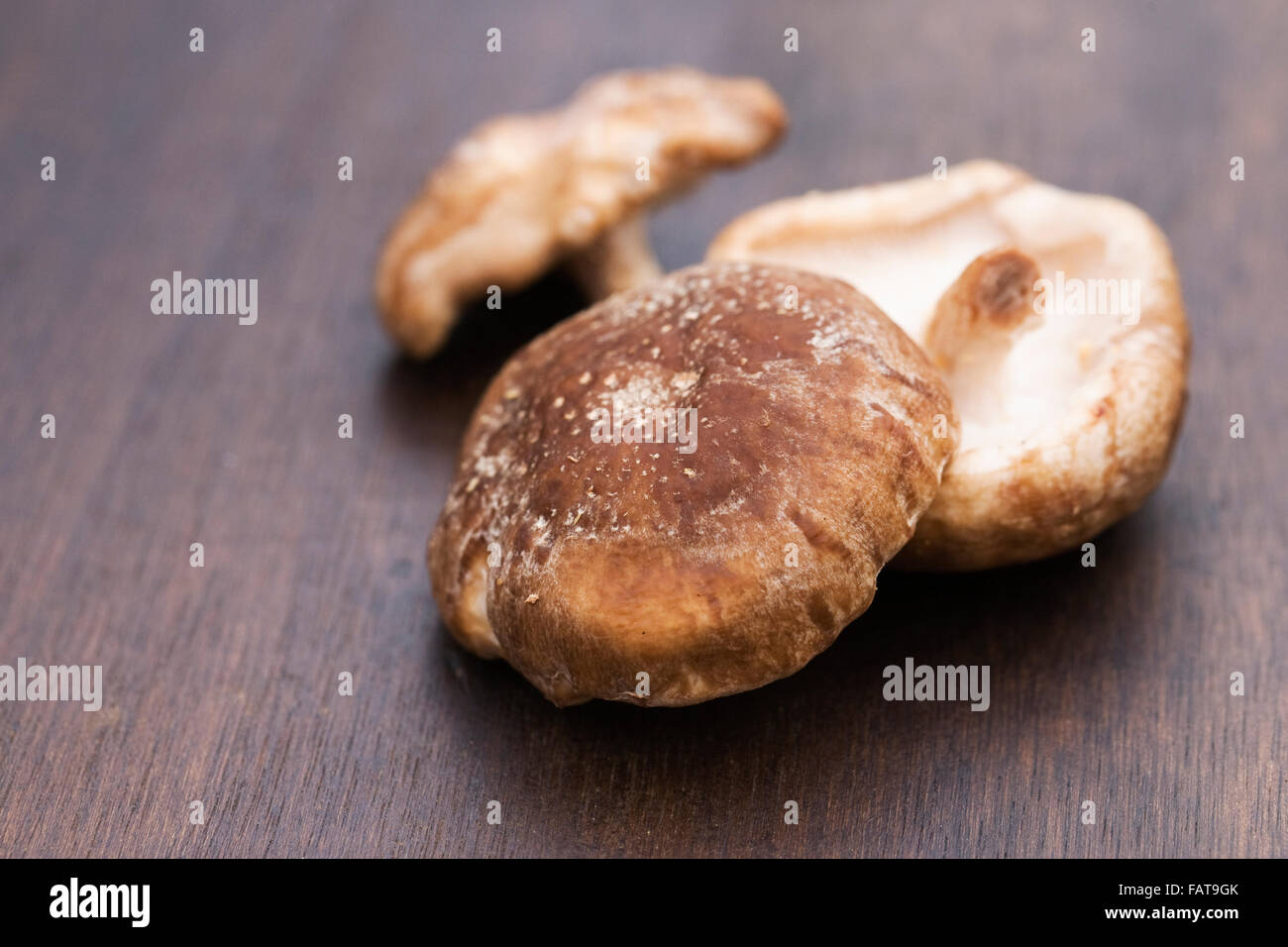 Lentinula edodes hi-res stock photography and images - Alamy