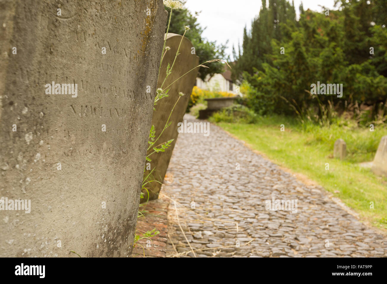 Footpath through a ancient graveyard Stock Photo - Alamy