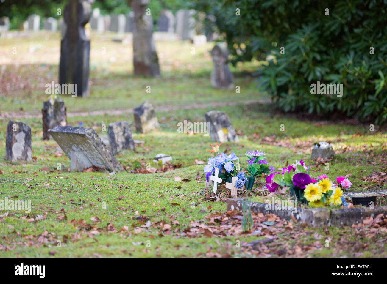 Respect for the departed hi-res stock photography and images - Alamy