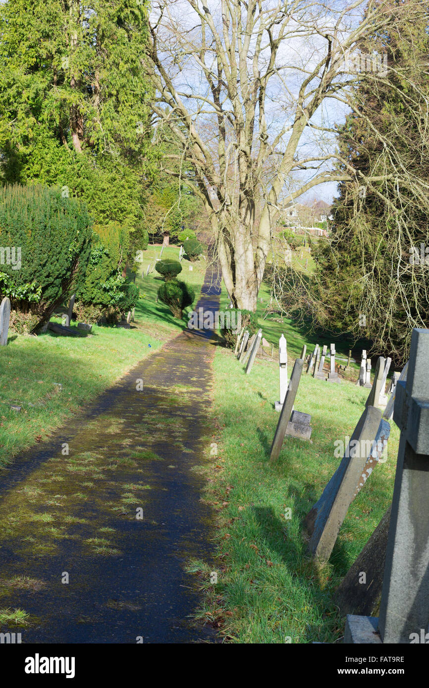 Tombstones Cemetery Branch High Resolution Stock Photography and Images ...