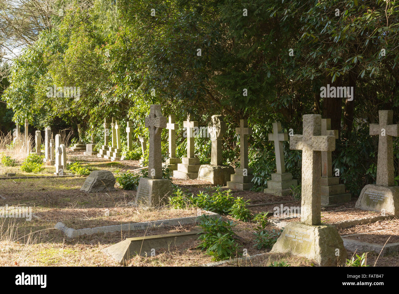 Many crosses in the sunshine Stock Photo - Alamy