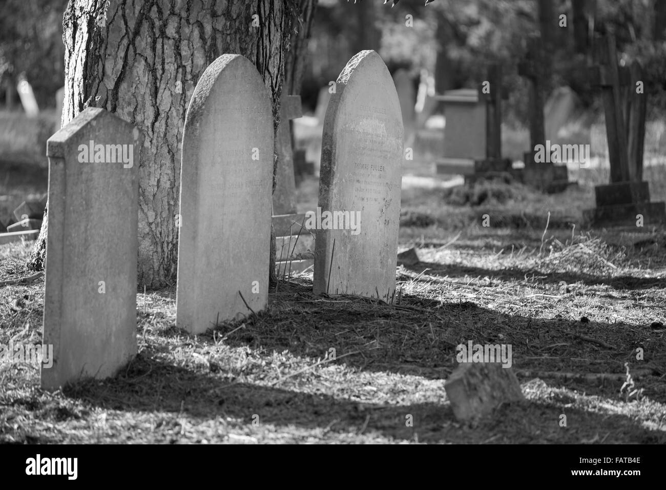 Three in a row Stock Photo - Alamy