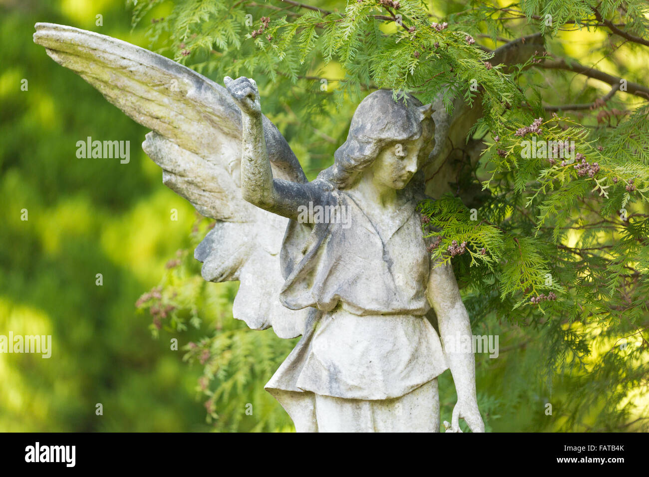 Angel in the sunshine Stock Photo - Alamy