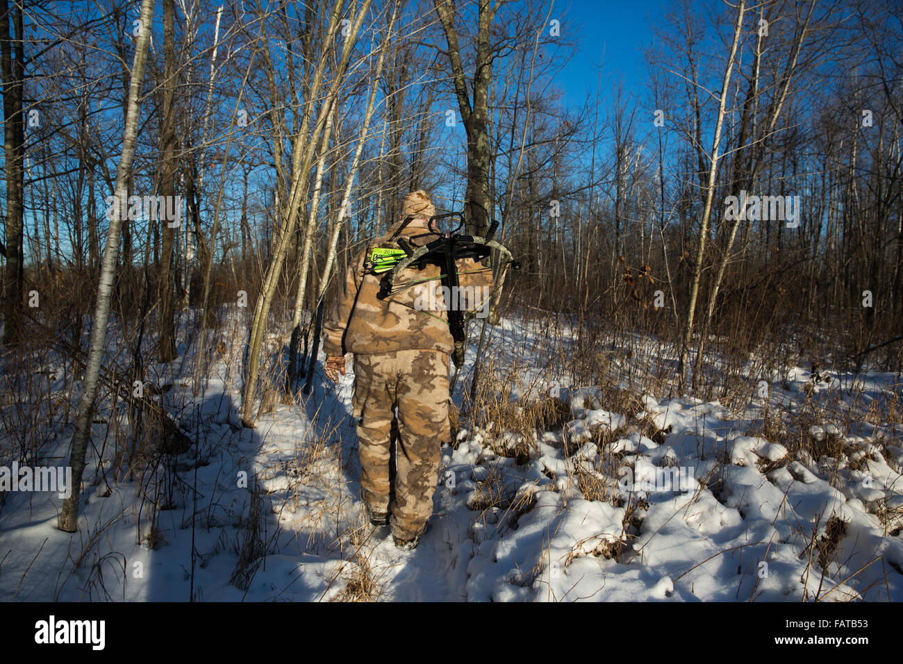 Model crossbow hi-res stock photography and images - Alamy