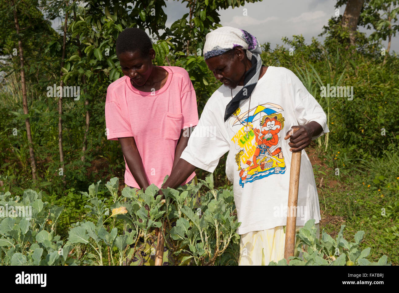 Lady farmers hi-res stock photography and images - Alamy