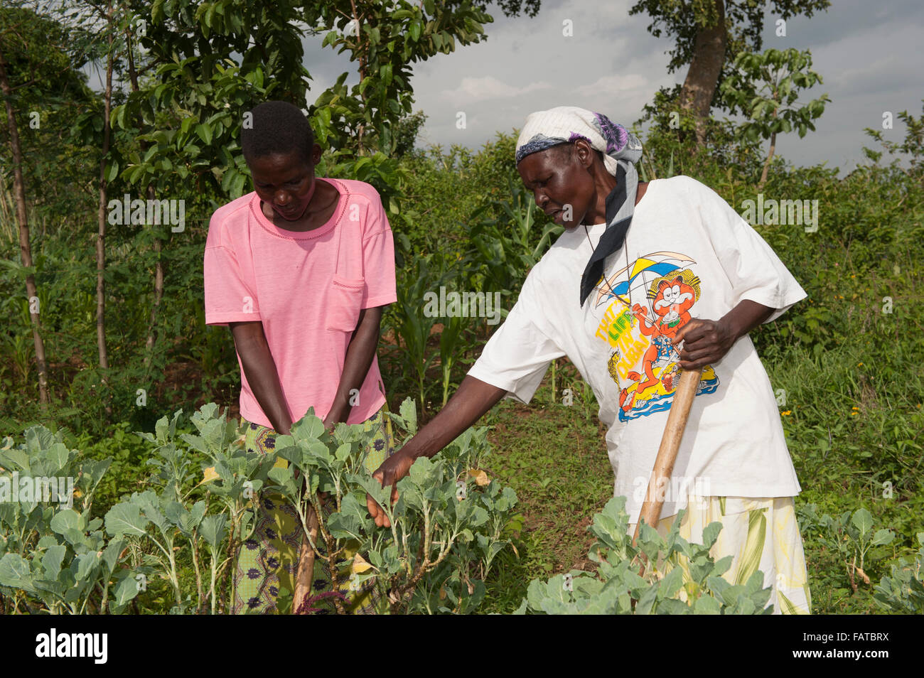 Women farmer africa hi-res stock photography and images - Alamy