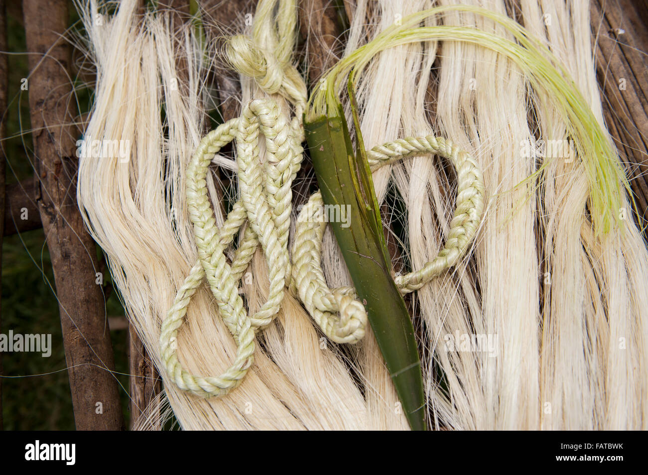 Agave fiber hi-res stock photography and images - Alamy