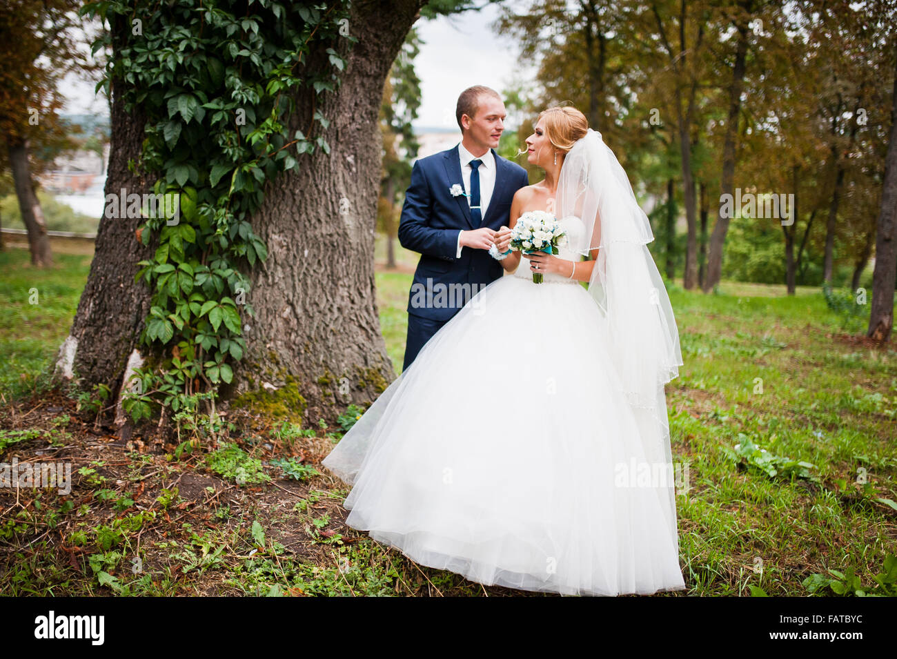 Wedding couple near the old trees overgrown vegetation Stock Photo - Alamy