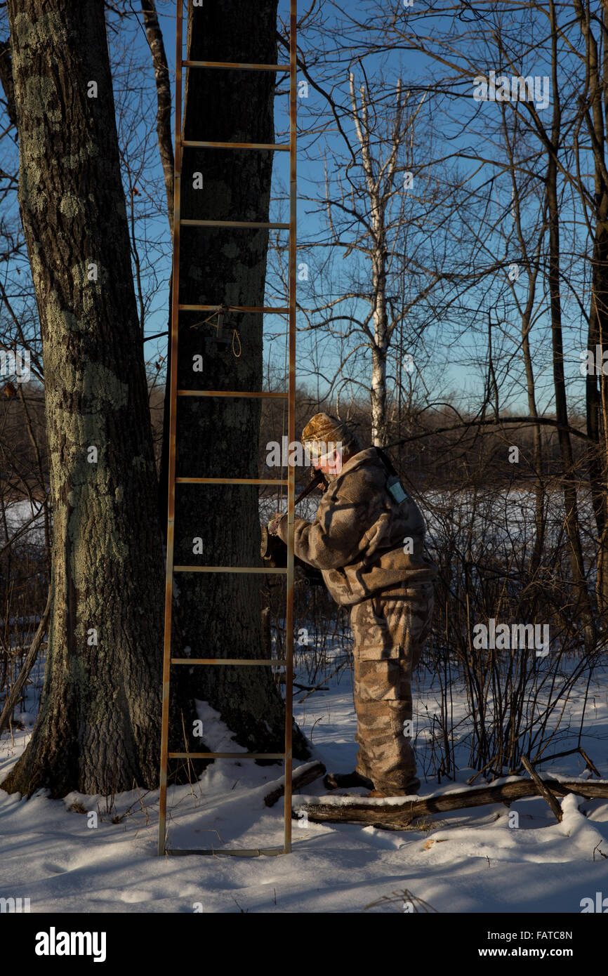 Hunter attaching crossbow to pull up rope Stock Photo - Alamy