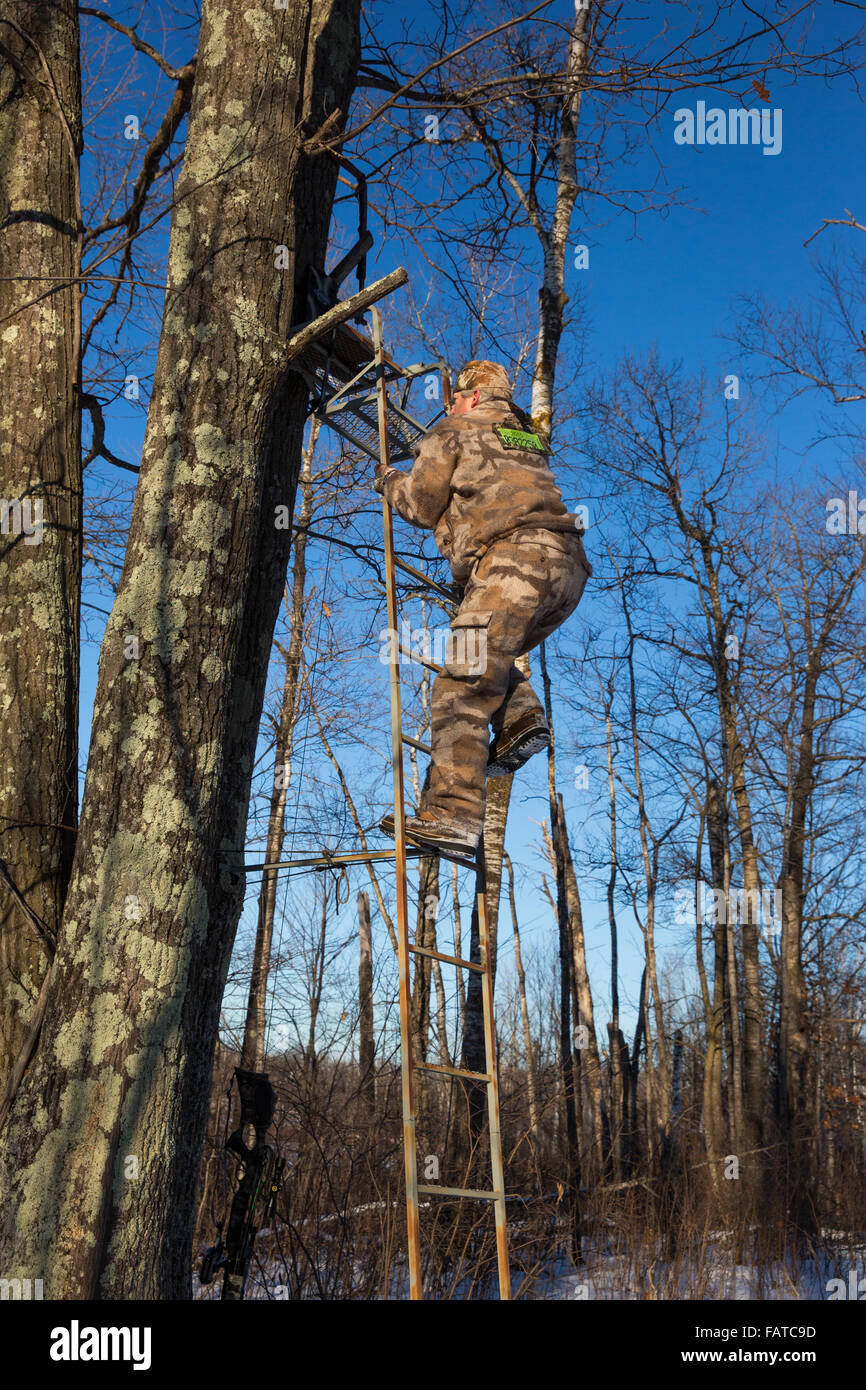 Old man up ladder hi-res stock photography and images - Alamy