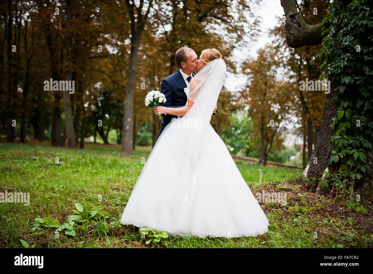 Wedding couple near the old trees overgrown vegetation Stock Photo - Alamy