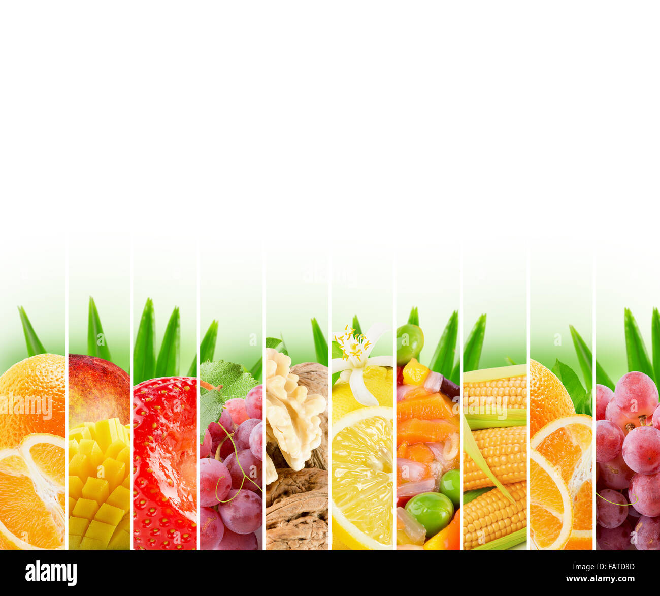 Citrus Fruit High Resolution