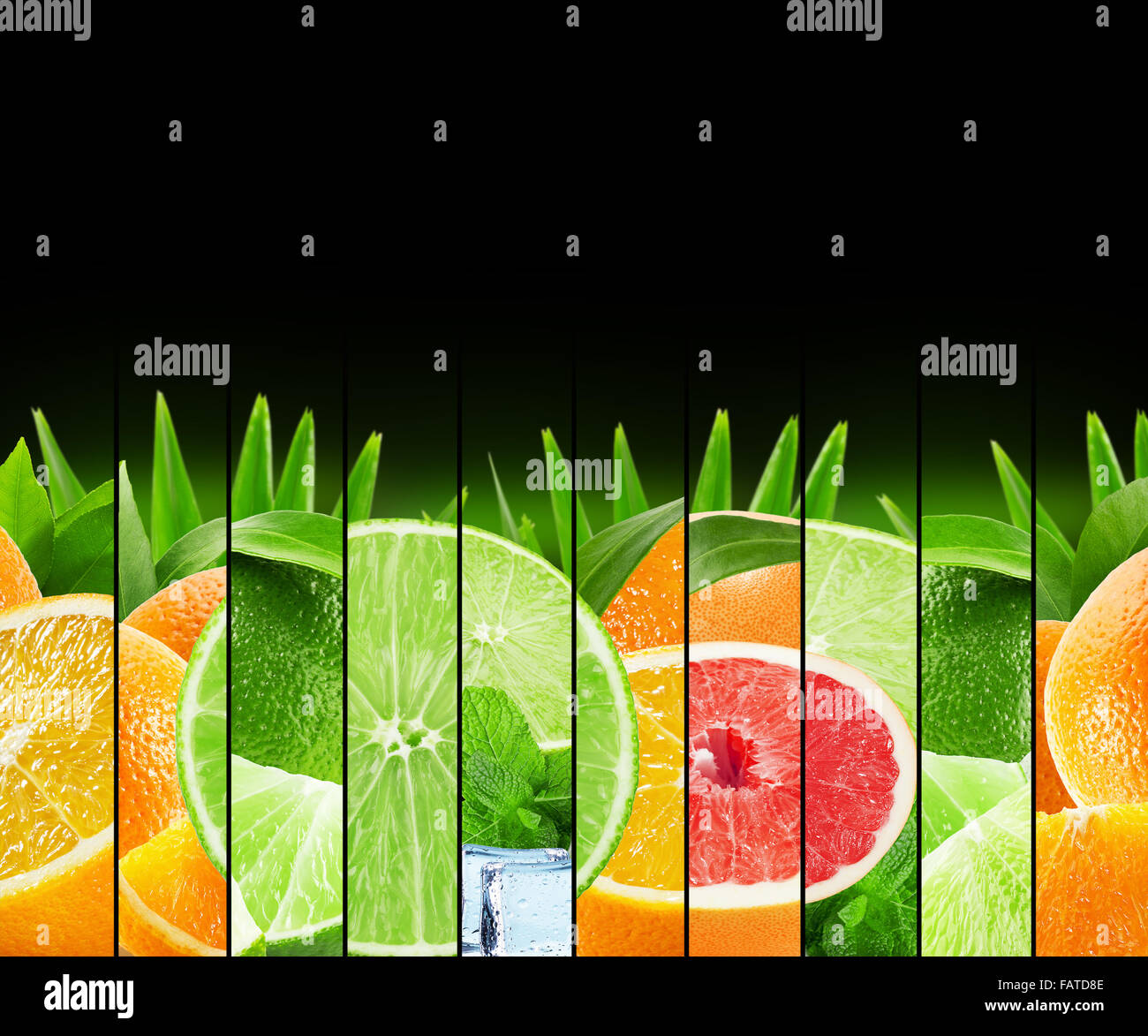 Rainbow colorful citrus fruits stripe collection on the black ...