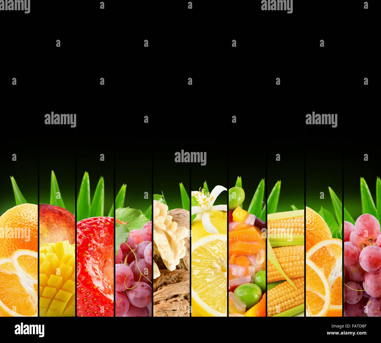 Rainbow colorful citrus fruits stripe collection on the black ...