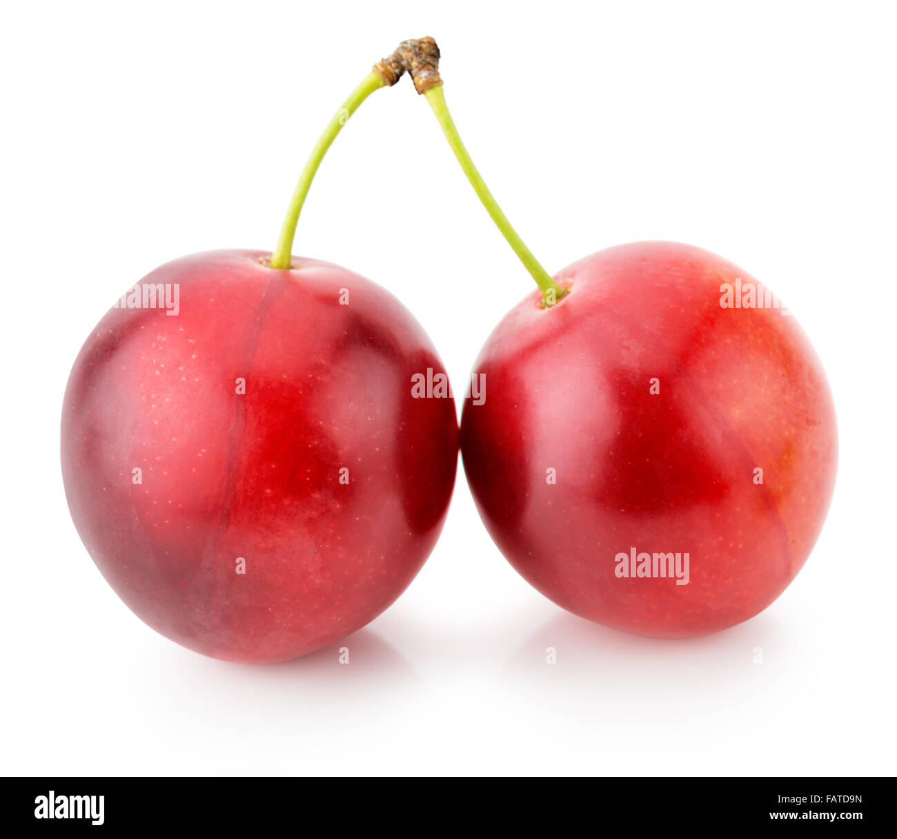red cherry plums isolated on the white background Stock Photo - Alamy