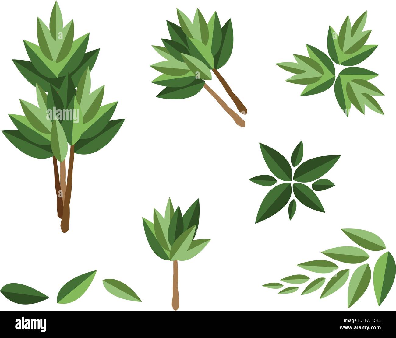 Home Interior, An Illustration Collection of Landscaping Tree Symbols ...