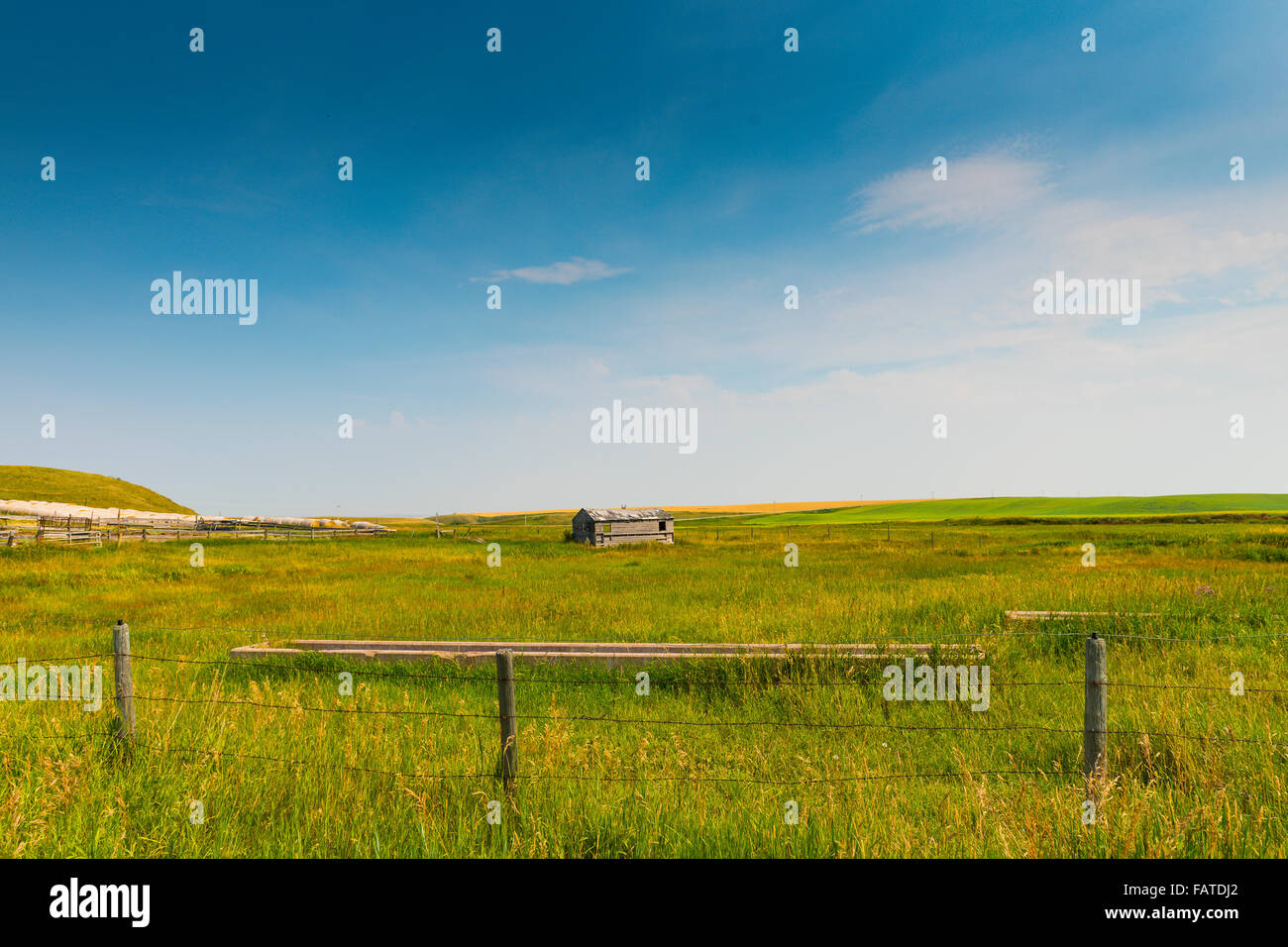 Farmstead in rural Southern Alberta Canada Stock Photo - Alamy