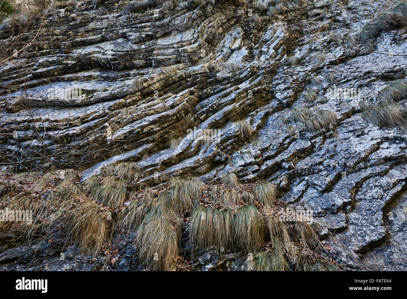Closeup of a sedimentary mountain limestone rocks, with selective focus ...
