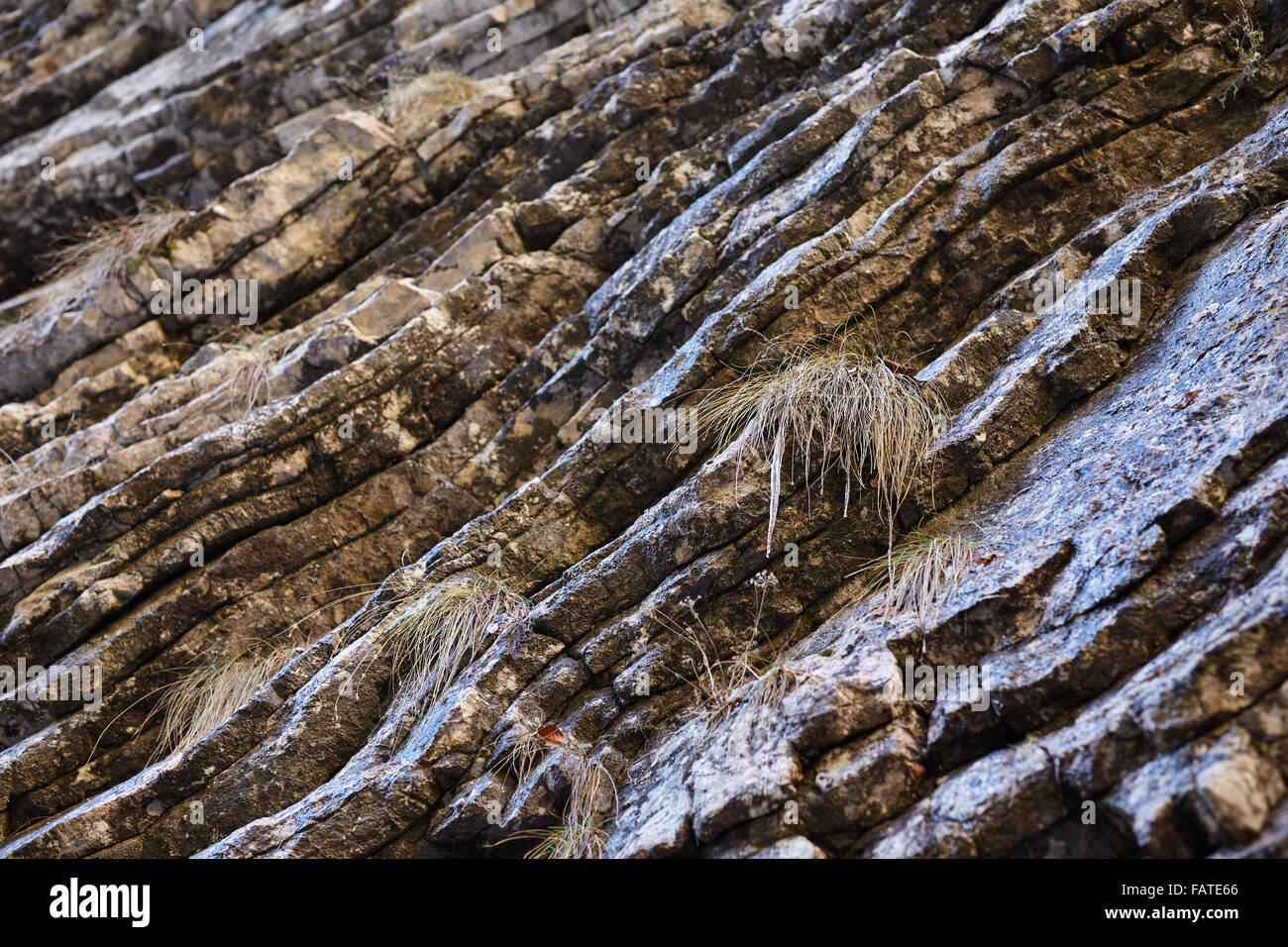Closeup of a sedimentary mountain limestone rocks, with selective focus ...