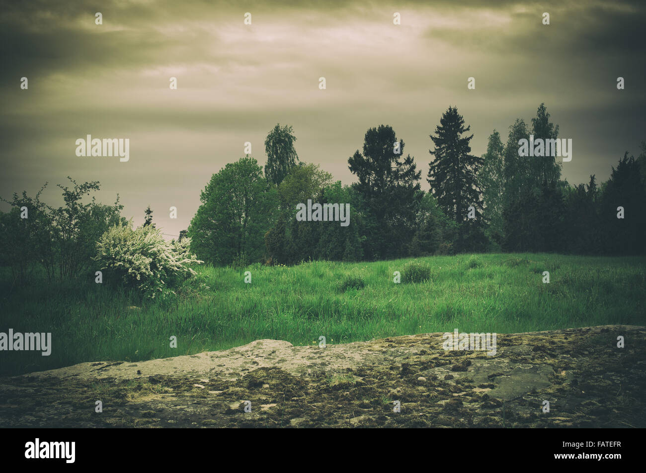 Dark vintage rural landscape Stock Photo - Alamy