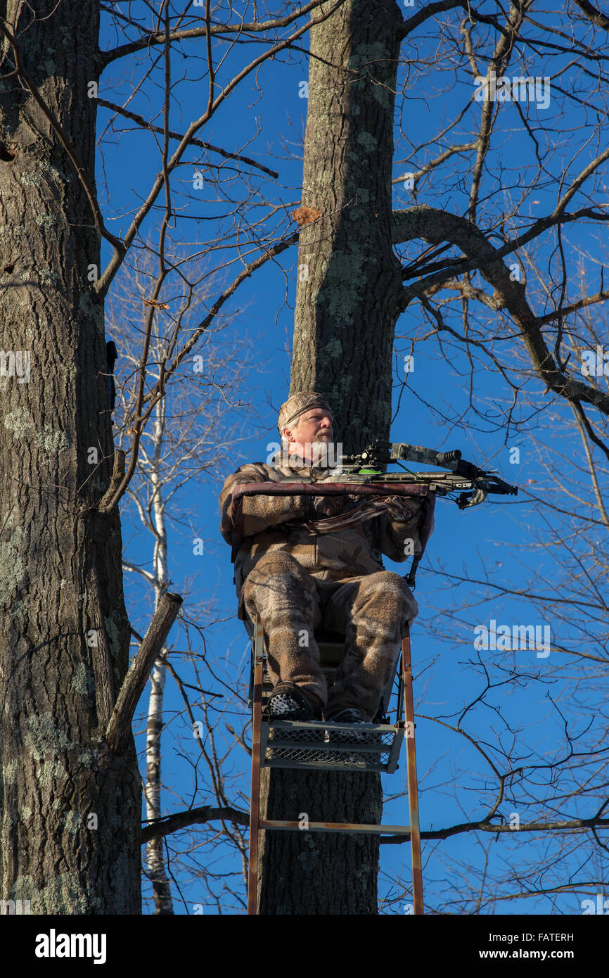 Crossbow hunter in a tree stand Stock Photo - Alamy
