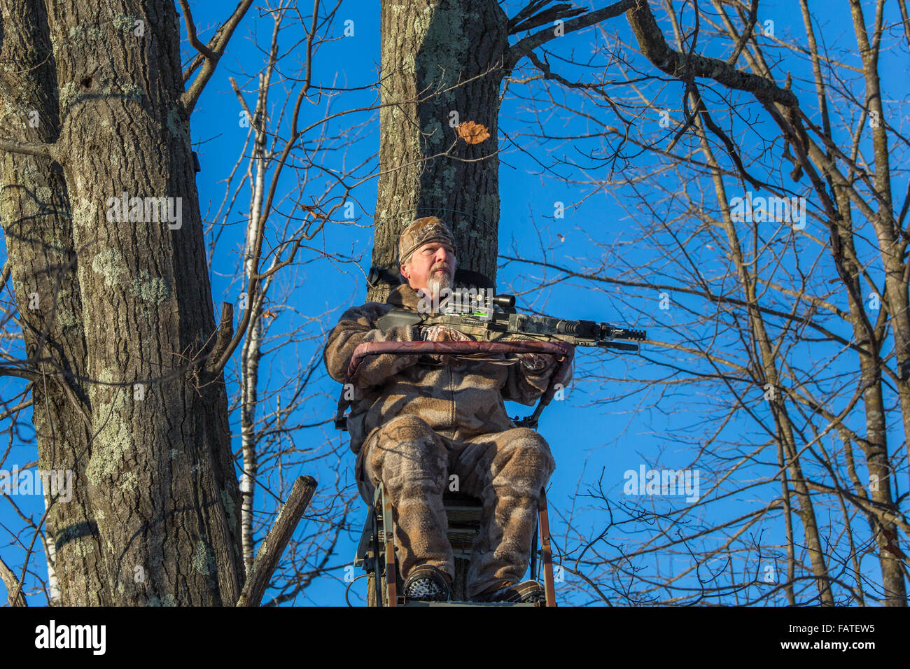 Bow hunter tree stand hi-res stock photography and images - Alamy