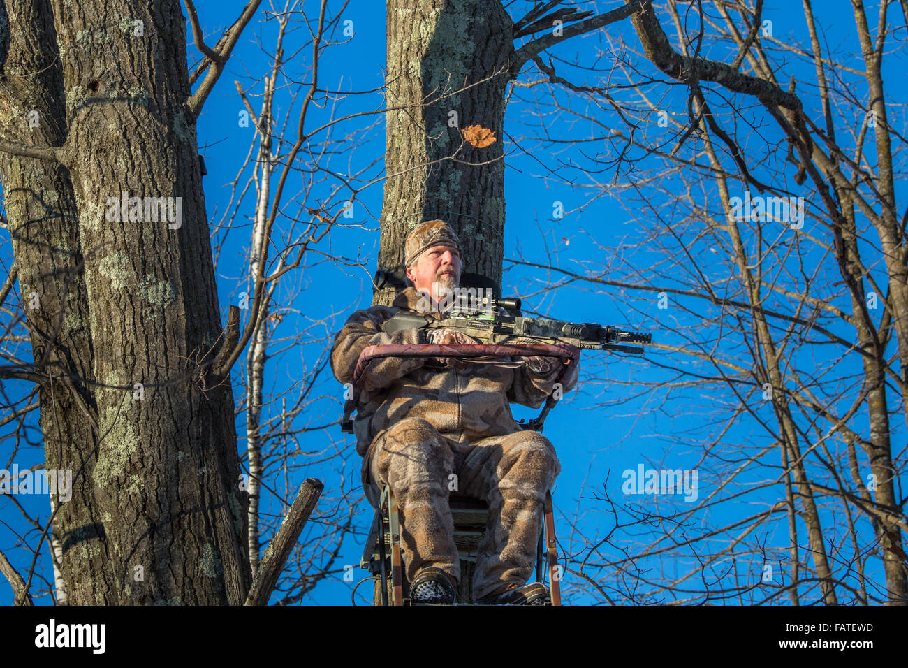 Bow Hunter Tree Stand Silhouette