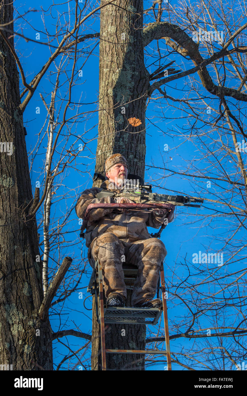 Bow hunter tree stand hi-res stock photography and images - Alamy