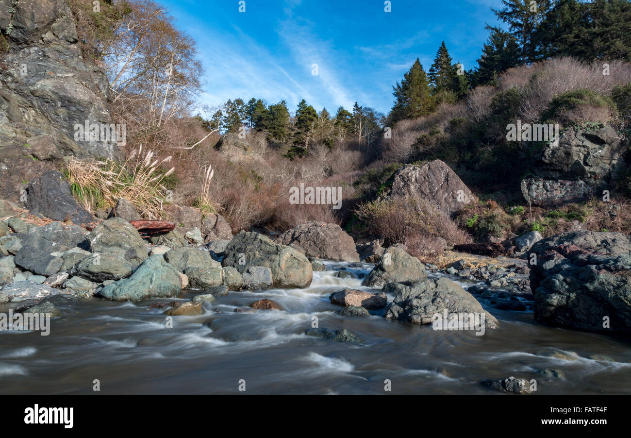 river, creek, brook, tree, rivers, water, fall, stream, scenery ...