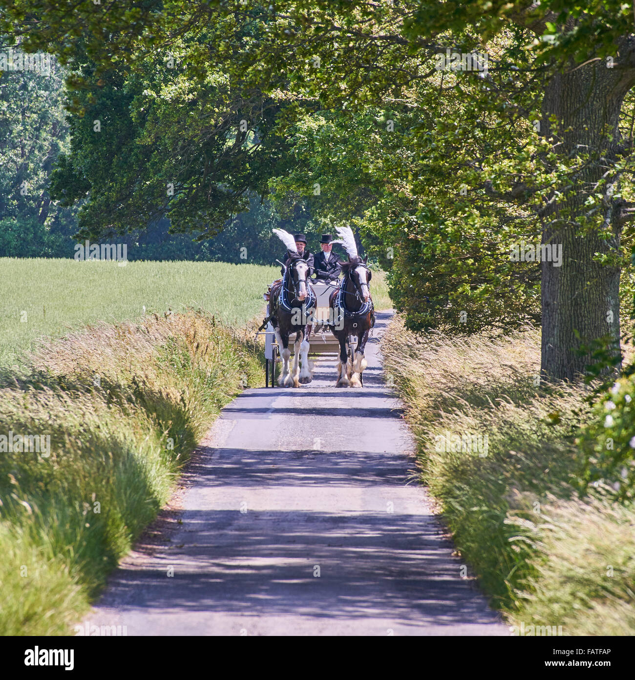 Two wheel horse cart hi-res stock photography and images - Alamy