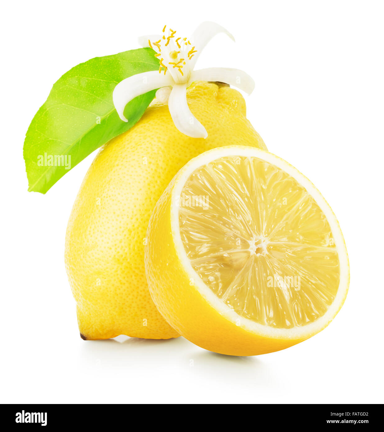 Lemon tree flowers hi-res stock photography and images - Alamy