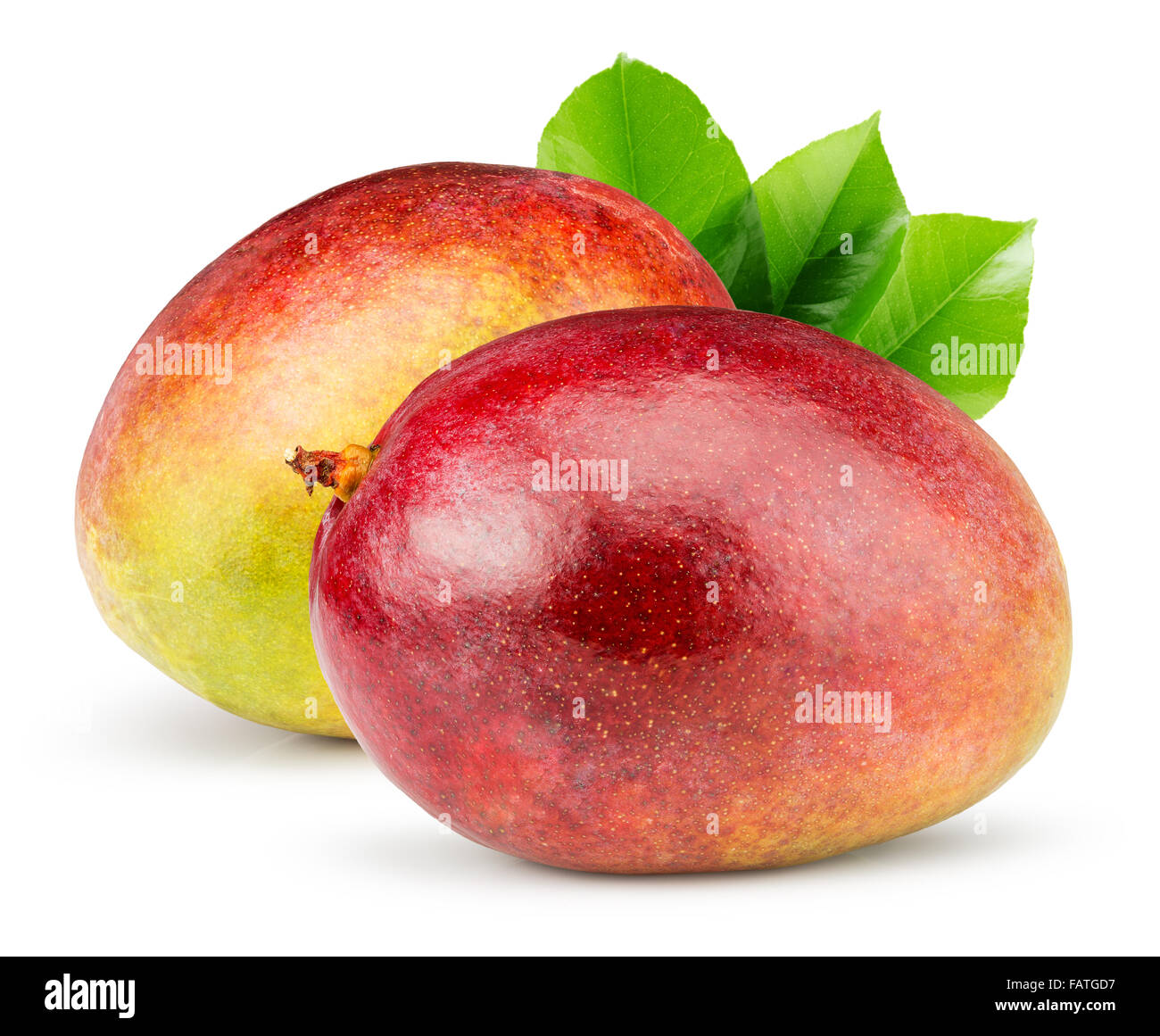 mangoes isolated on the white background Stock Photo - Alamy