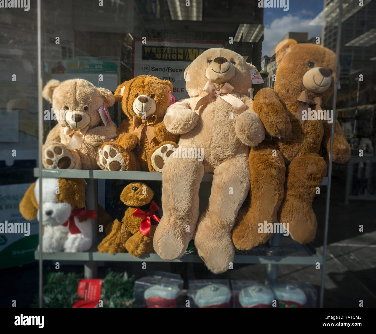 Plush toy display hi-res stock photography and images - Alamy