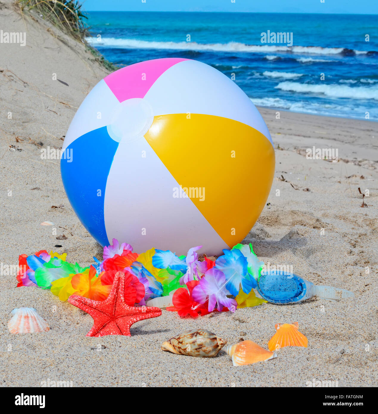 Star ball fish hi-res stock photography and images - Alamy