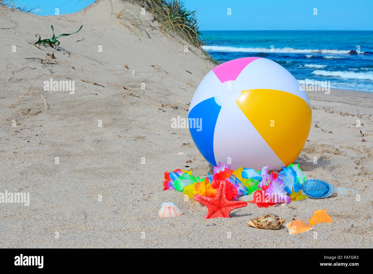 Star ball fish hi-res stock photography and images - Alamy