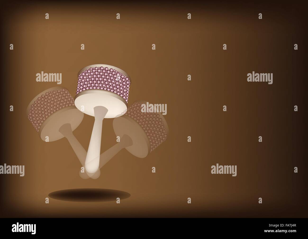 Music Instrument, An Illustration Collection of Beautiful Latin Cabasa ...