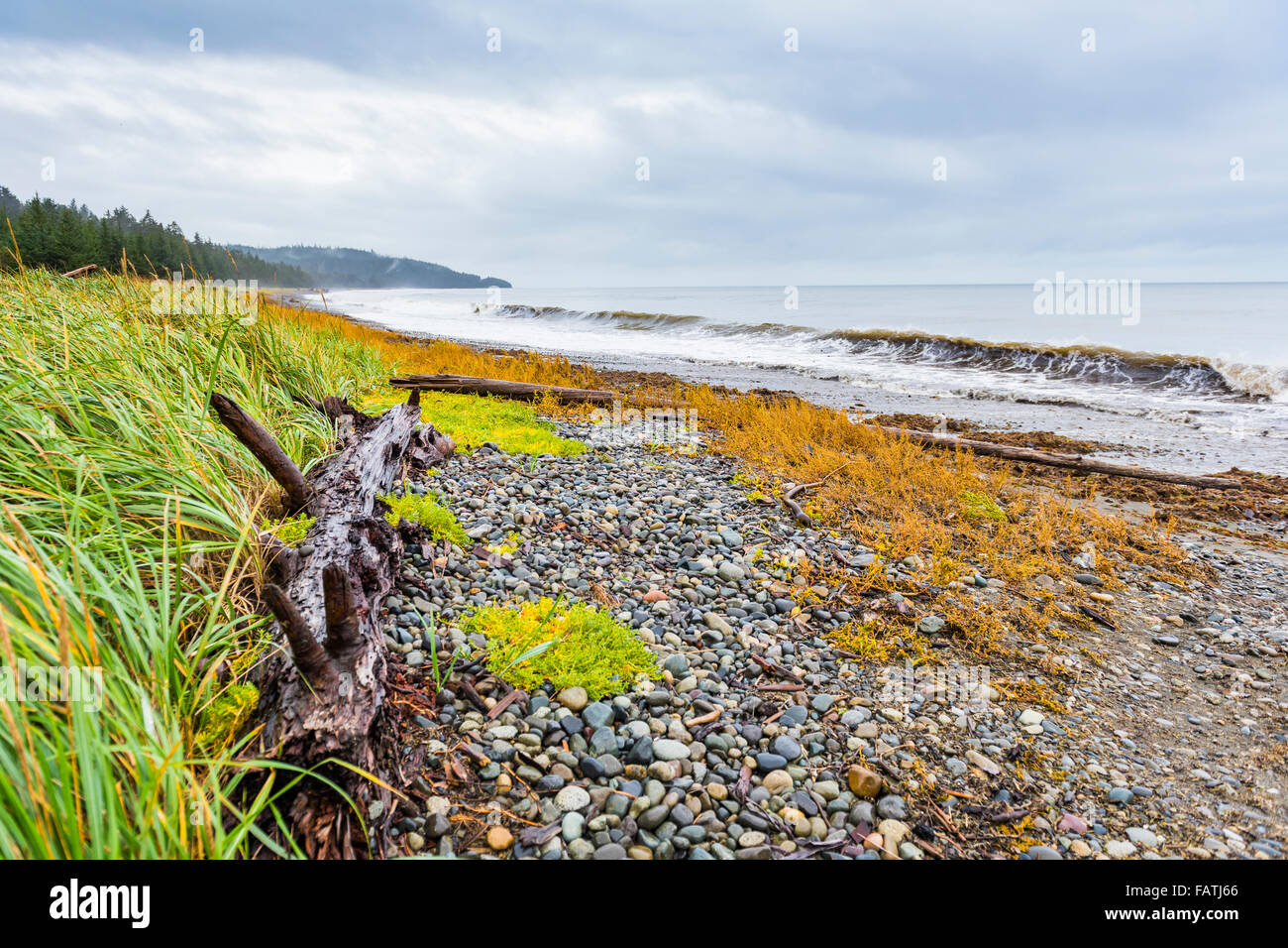 Coastal ocean views Haida Gwaii British Columbia Canada Stock Photo - Alamy