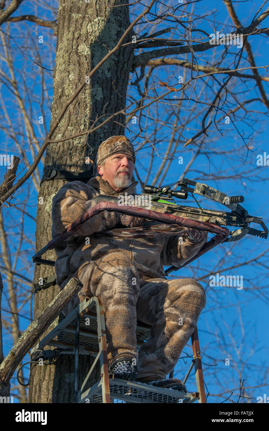 Crossbow hunter in a tree stand Stock Photo - Alamy
