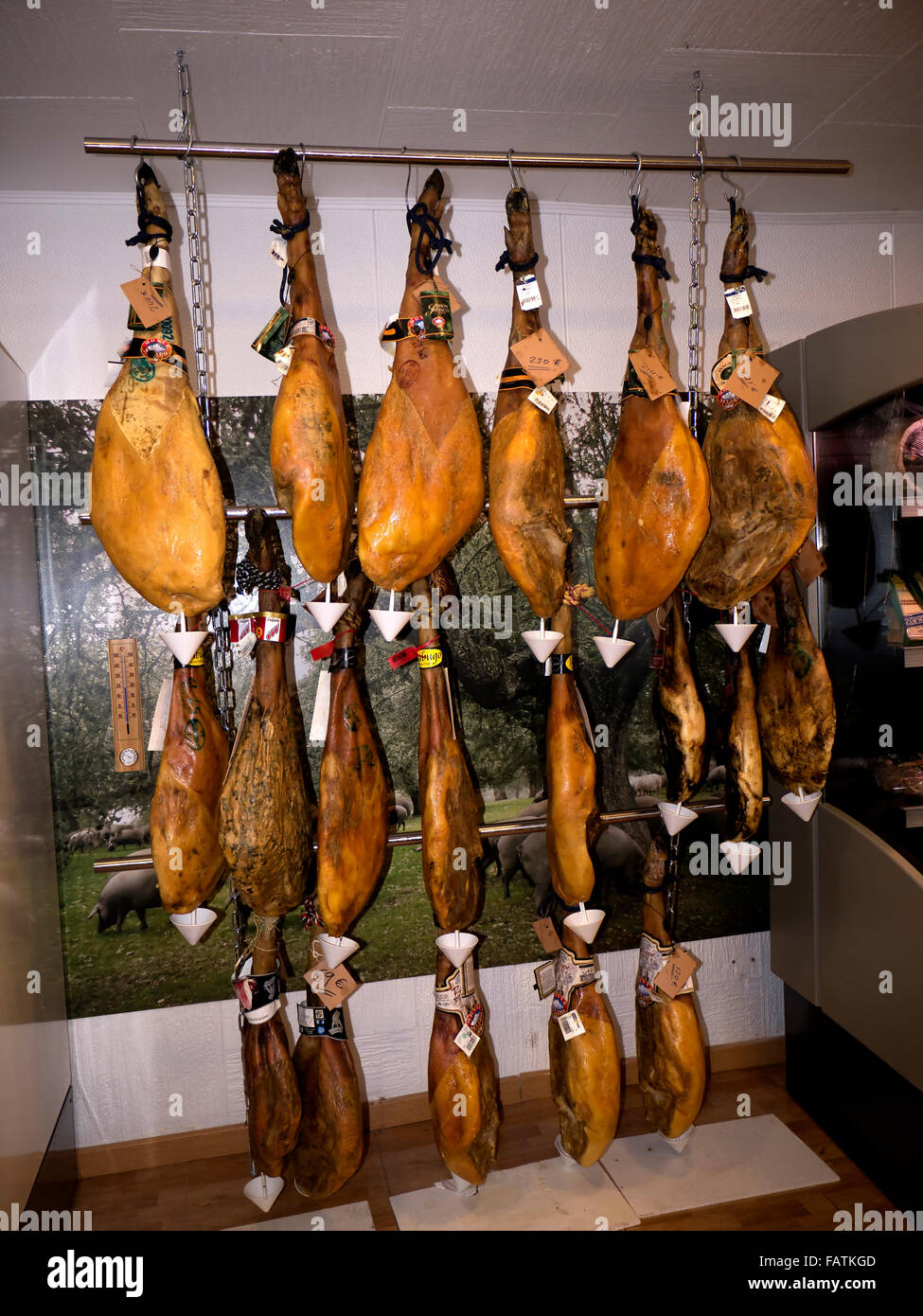 Spanish Air Dried Hams on the Municipal Market in the Stylist Town of ...