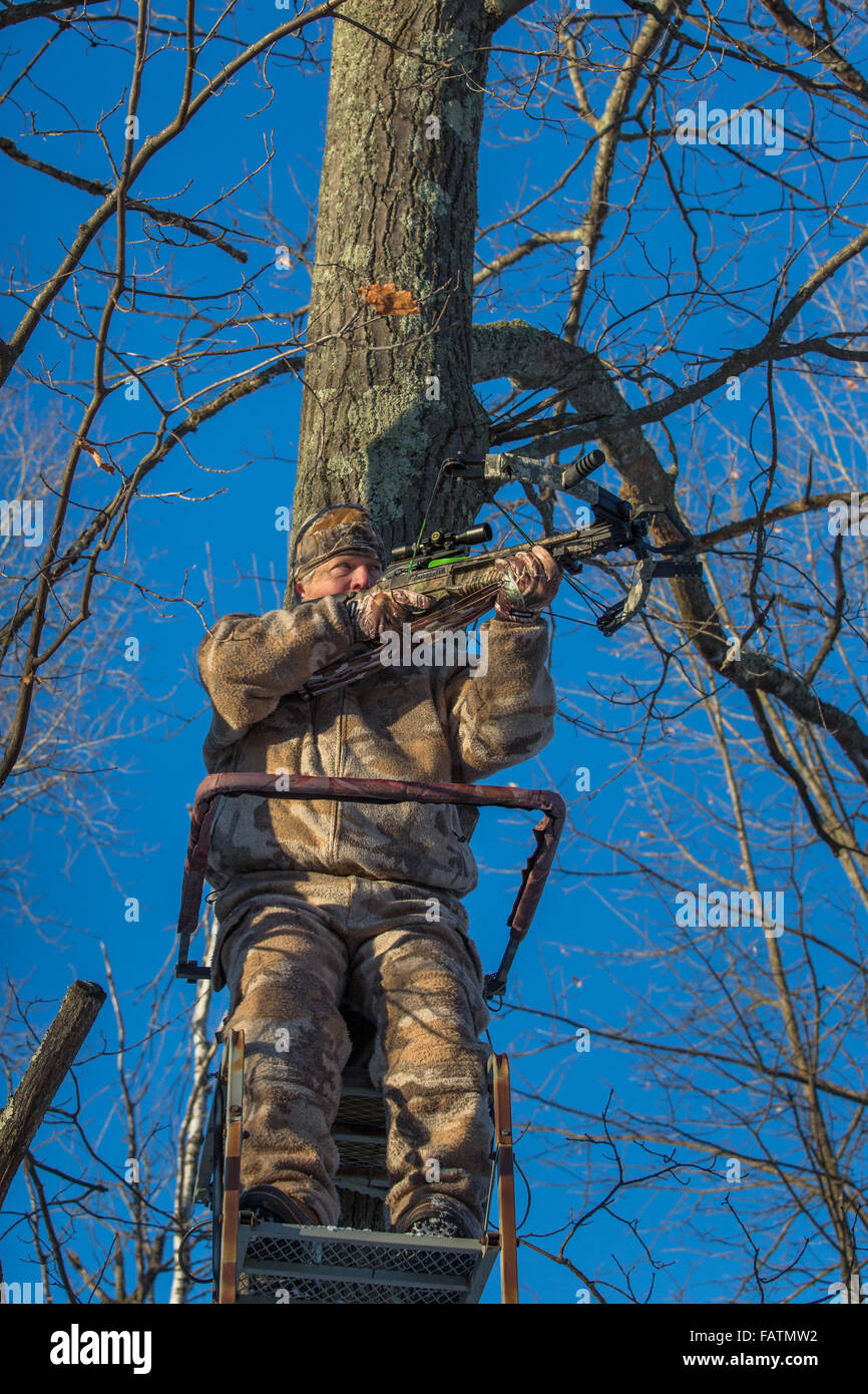 Bow hunter tree stand hi-res stock photography and images - Alamy