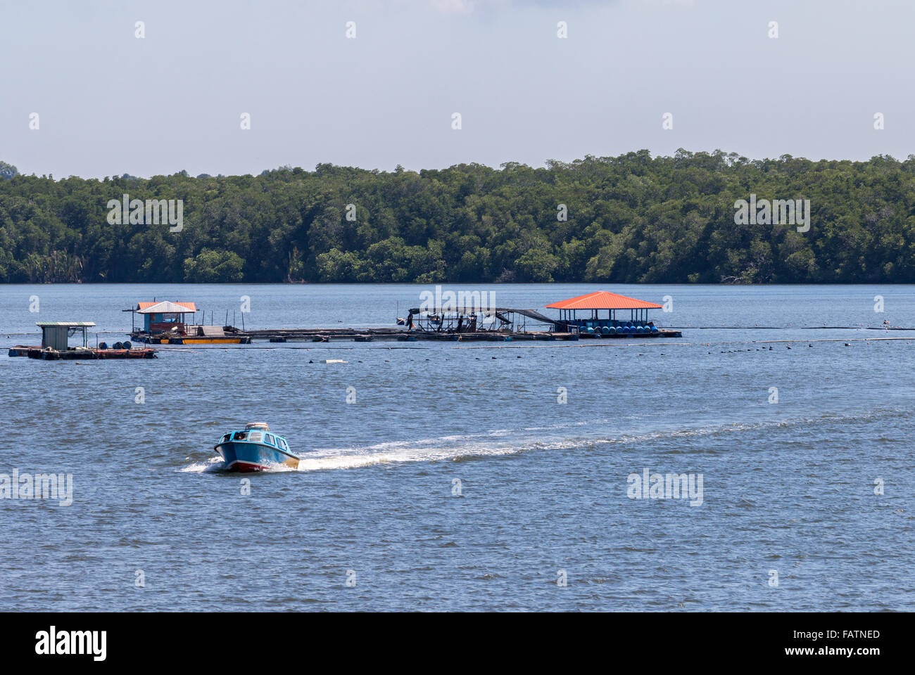 Speed boat coming into Menumbuk ferry Terminal Sabah East Malaysia ...