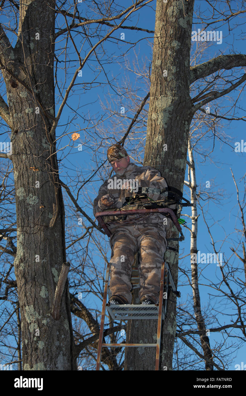 Tree stand hi-res stock photography and images - Alamy