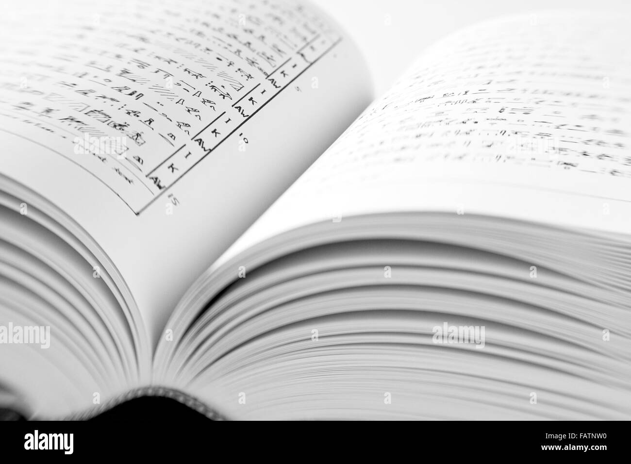 Open writing book Black and White Stock Photos & Images - Alamy