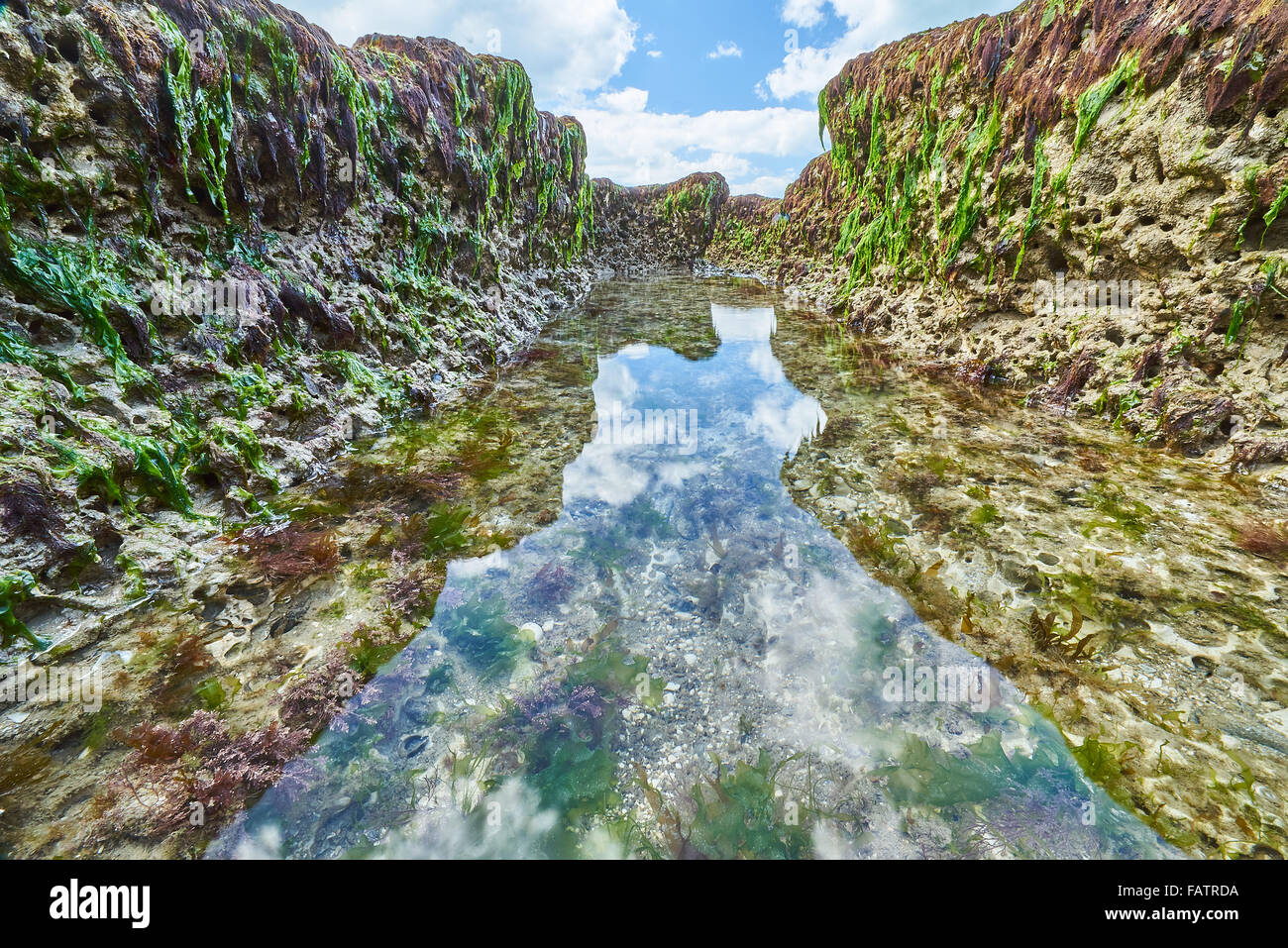 Wave cut platform hi-res stock photography and images - Alamy