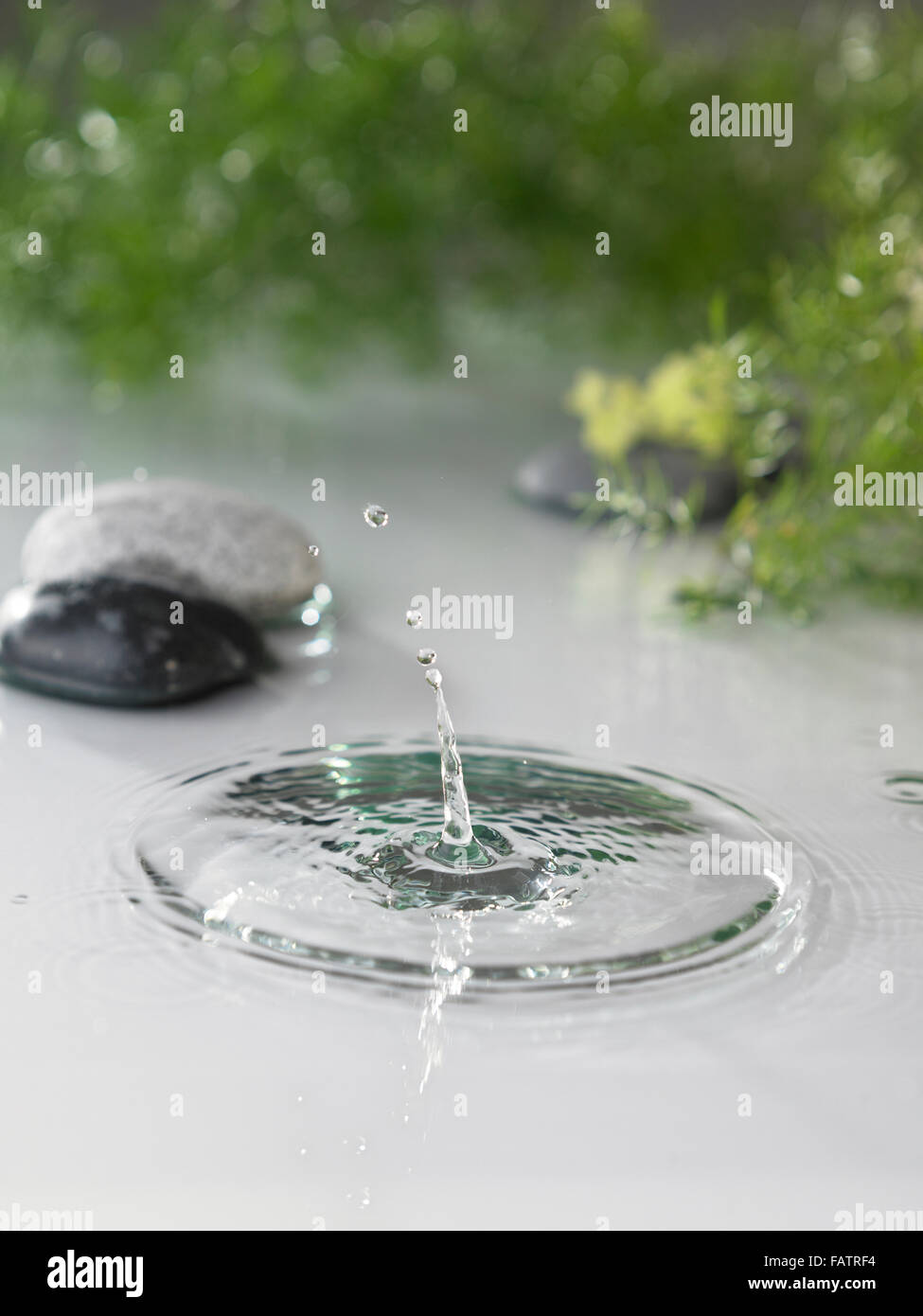 water splash with stone and green as background Stock Photo - Alamy
