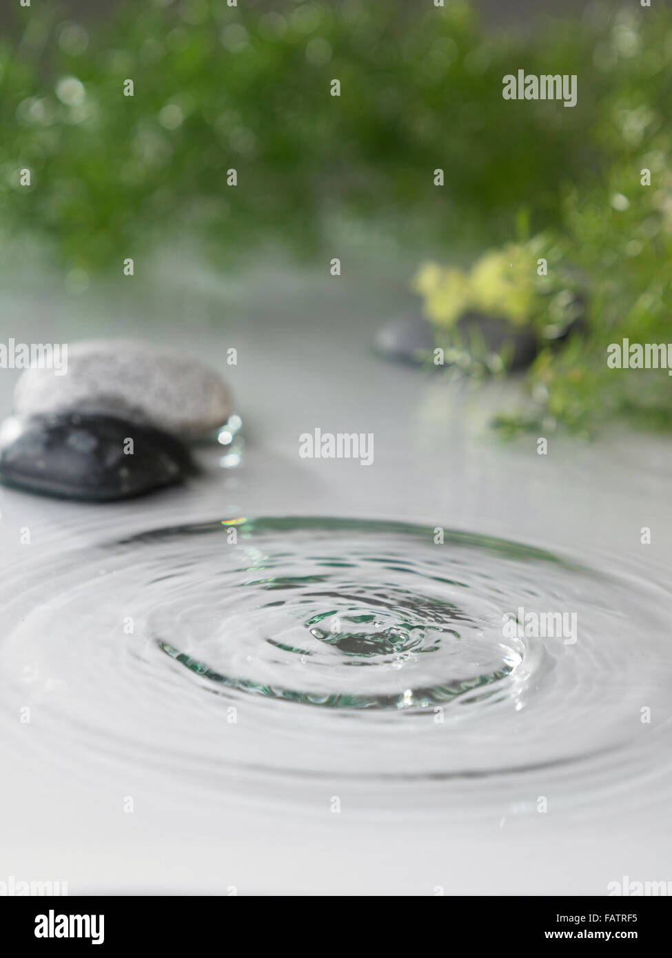 water splash with stone and green as background Stock Photo - Alamy