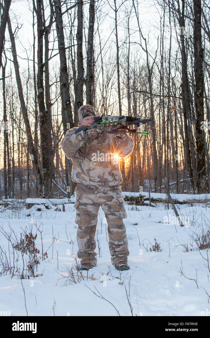 Crossbow hunter taking aim Stock Photo - Alamy