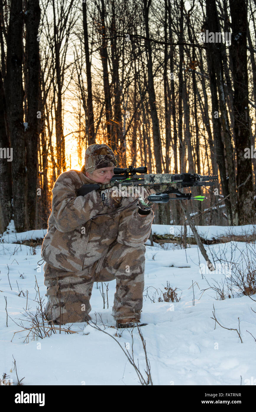 Crossbow hunter taking aim Stock Photo - Alamy