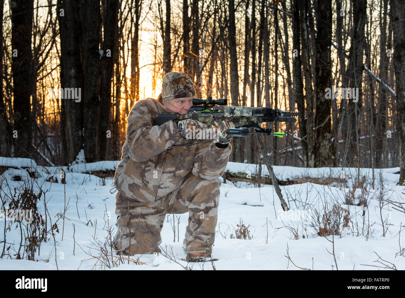 Crossbow hunter taking aim Stock Photo - Alamy