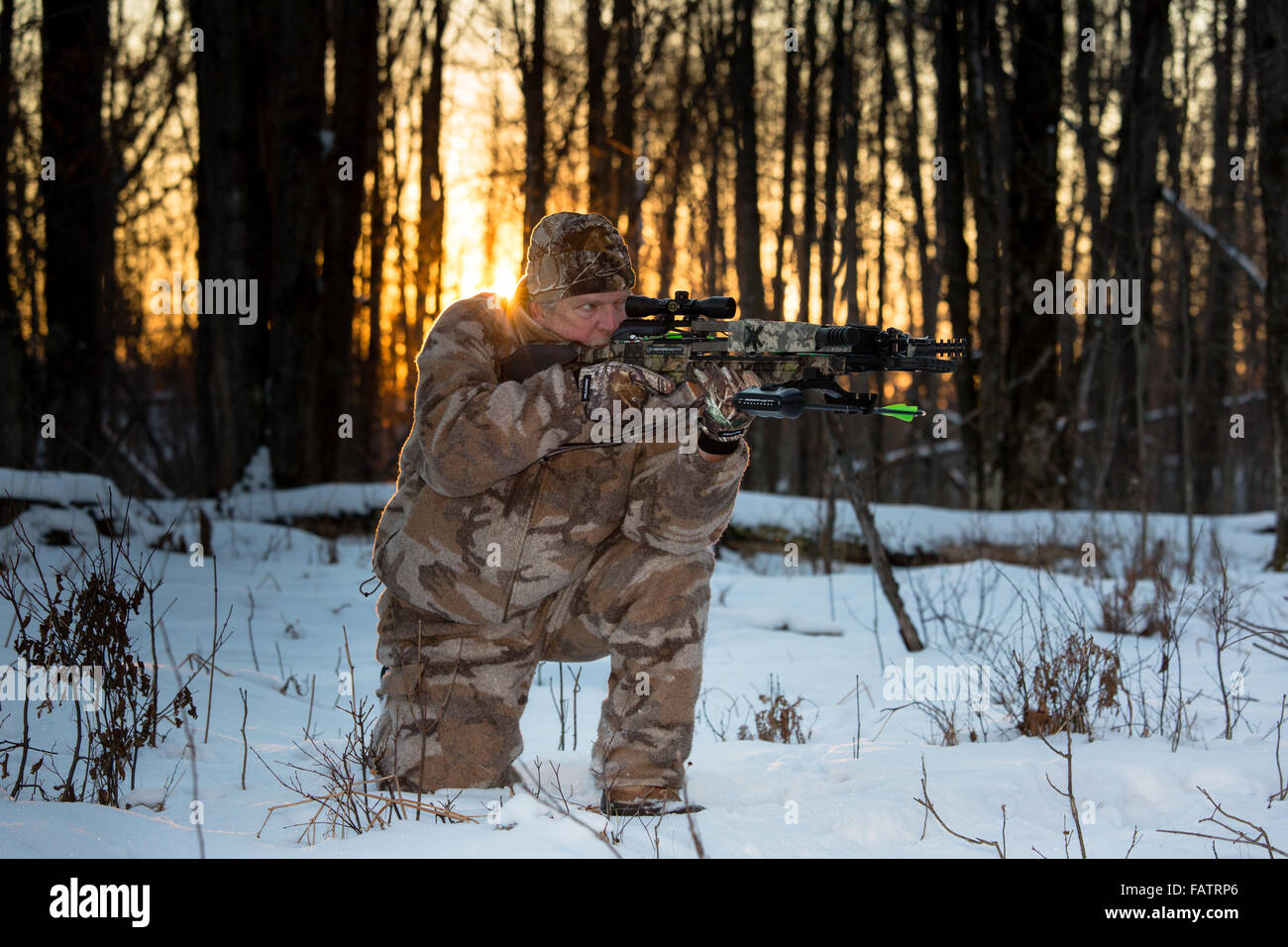 Crossbow hunter taking aim Stock Photo - Alamy